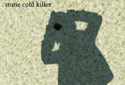 . stone cold killer by RainbowPigletEdits on DeviantArt