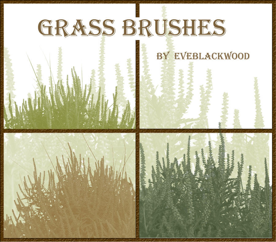 grass plant brushes by EveBlackwood on DeviantArt