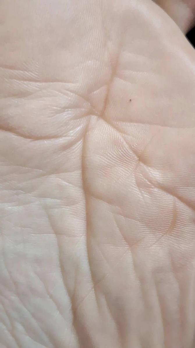 79# Tiny bug on my sole by Sofia-OwO on DeviantArt