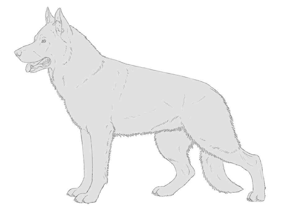 German Shepherd free line art by PrinzeBurnzo on DeviantArt