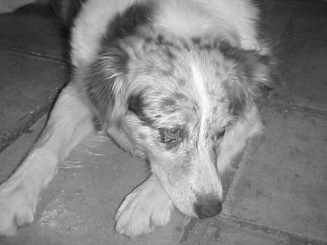 Past-Insanity - Photographer | DeviantArt