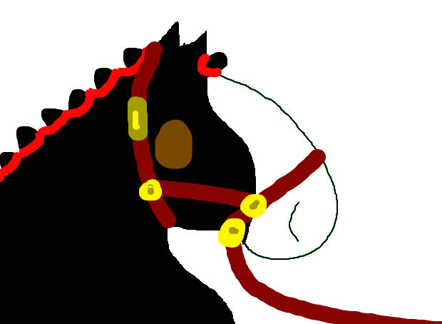 Socks Halter Class Training by not-cordial on DeviantArt