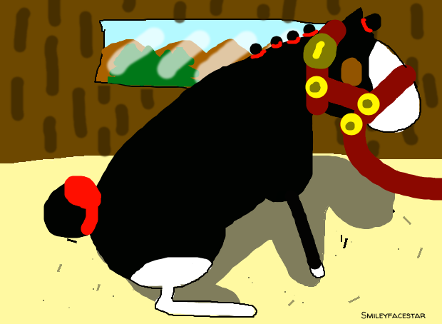 Sock's Failed Halter Show by not-cordial on DeviantArt