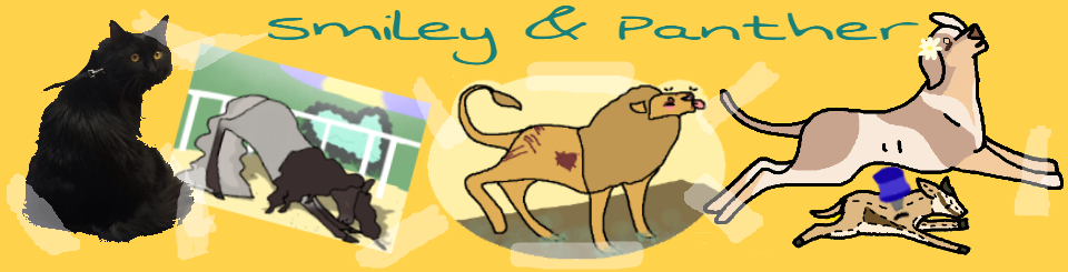 Smiley and Panther Banner by not-cordial on DeviantArt