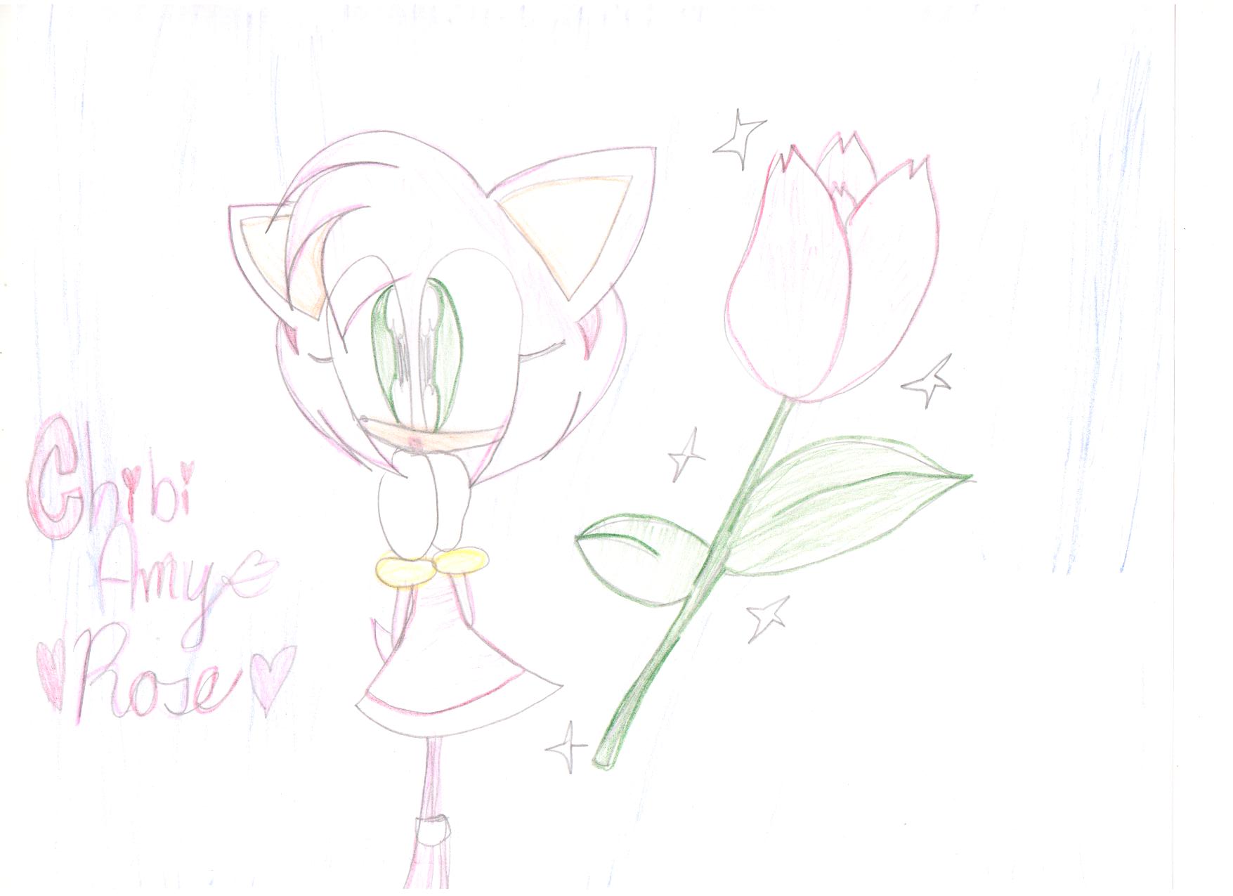 Chibi Amy Rose by SonAmyRules on DeviantArt