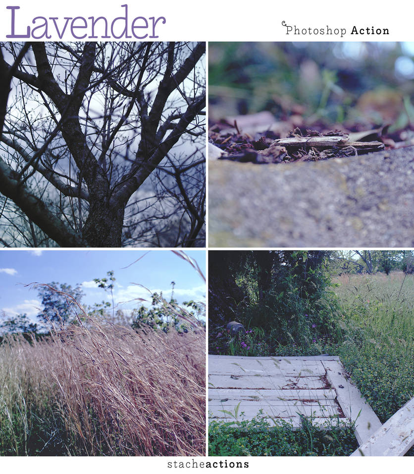 Lavender Photoshop Action By Stacheactions On Deviantart