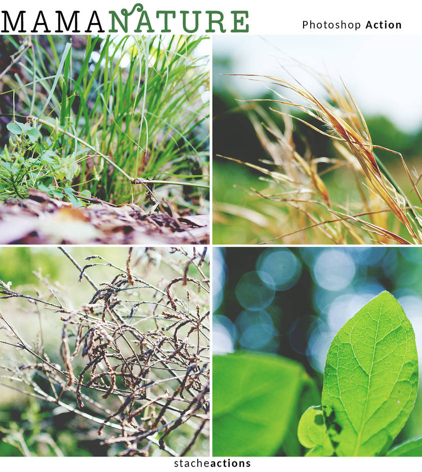 Mama Nature Photoshop Action by StacheActions on DeviantArt