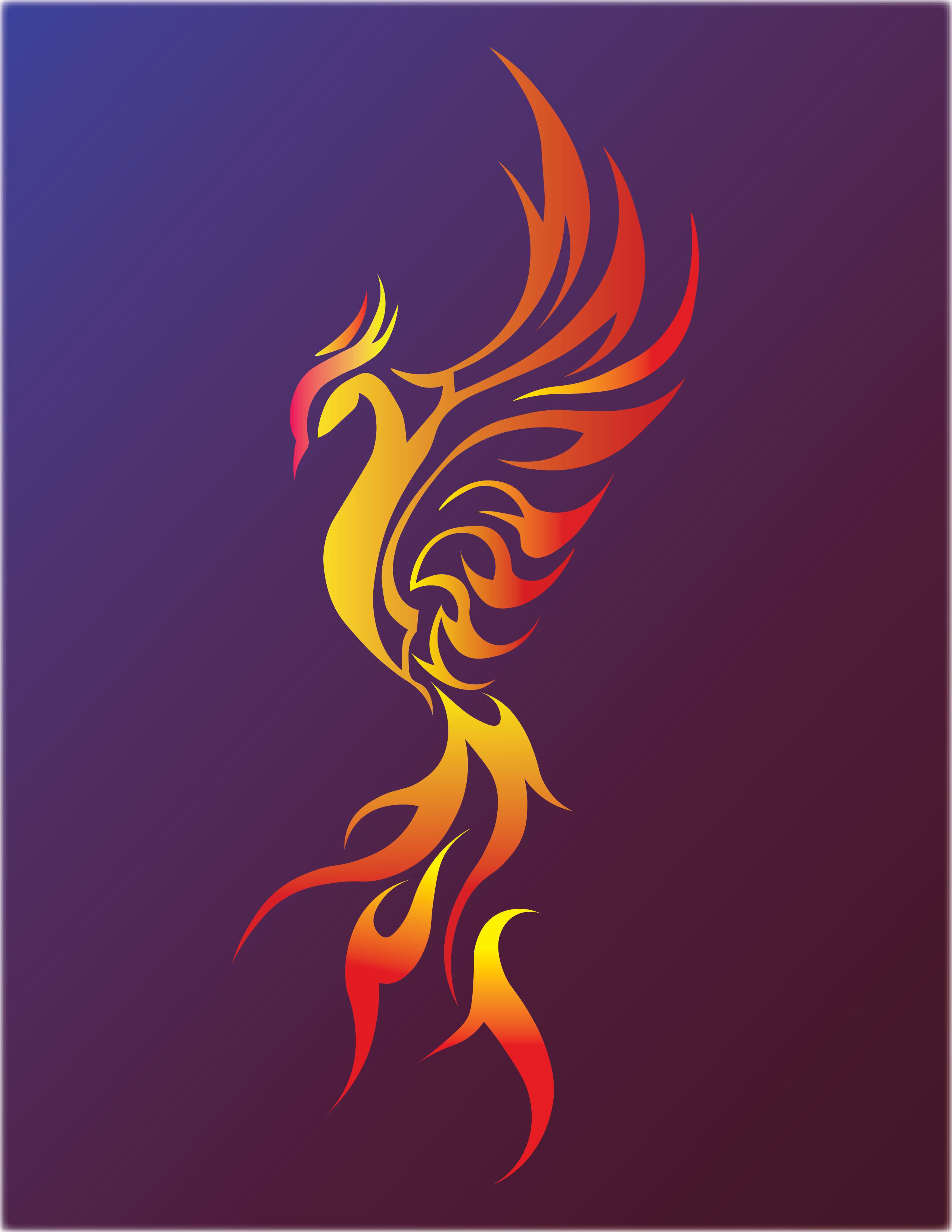 Pheonix by miansaab112233 on DeviantArt