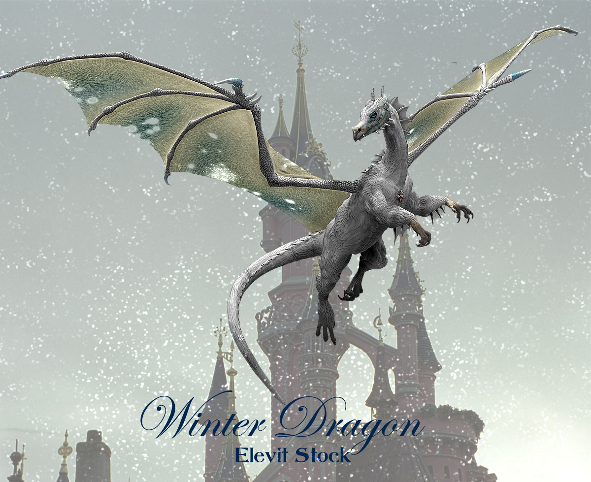 E-S Winter Dragon by Elevit-Dragon-Stock on DeviantArt