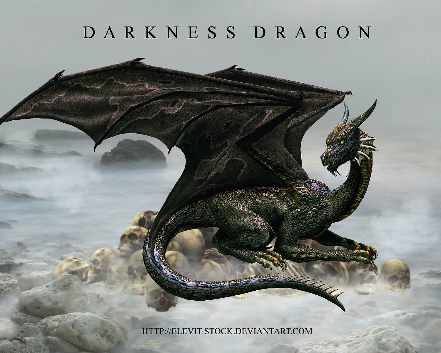 E-S Darkness Dragon by Elevit-Dragon-Stock on DeviantArt