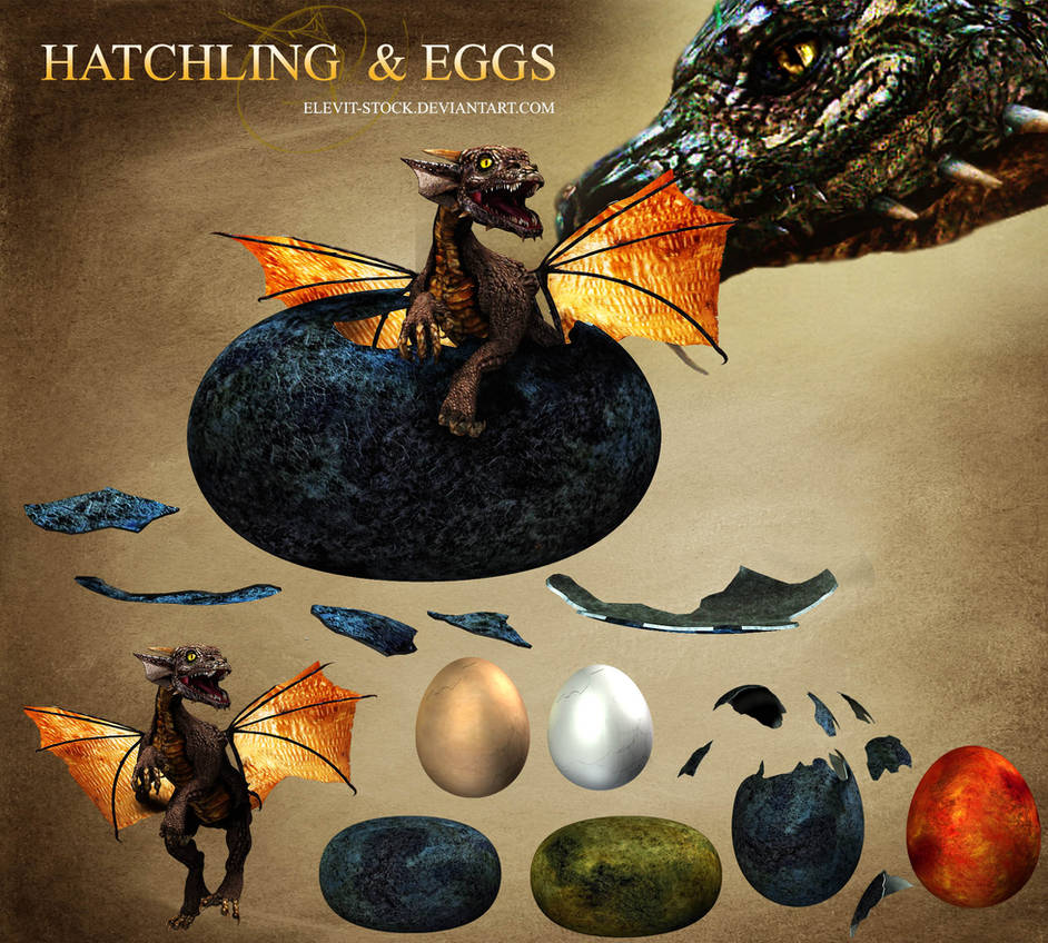 E-S Hatchling and eggs by Elevit-Dragon-Stock on DeviantArt
