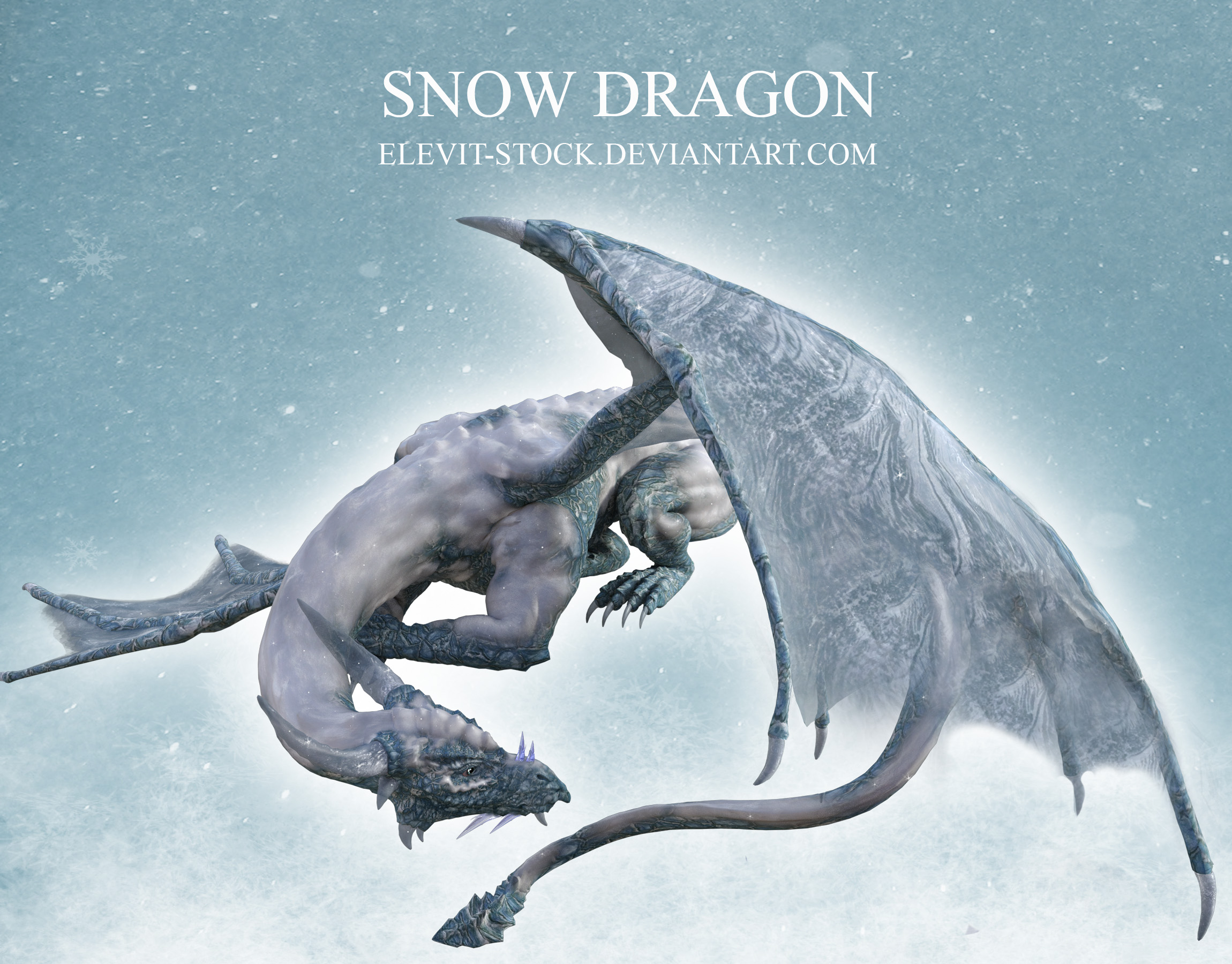 E-S Snow Dragon by Elevit-Dragon-Stock on DeviantArt