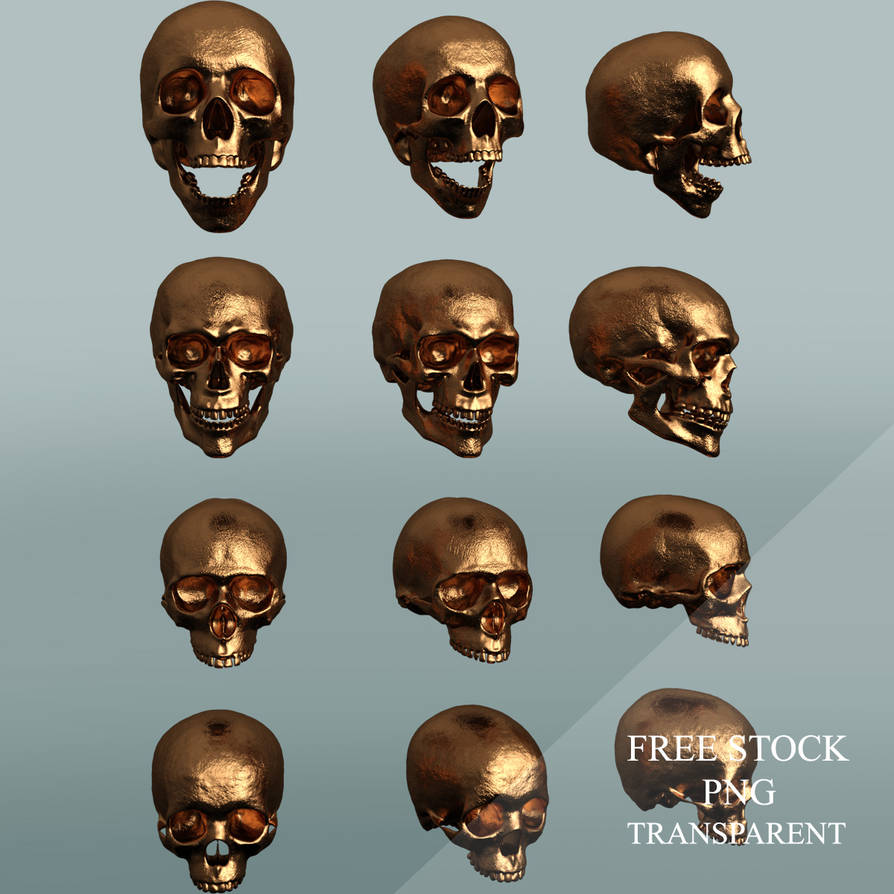 Golden Skull by Elevit-Dragon-Stock on DeviantArt