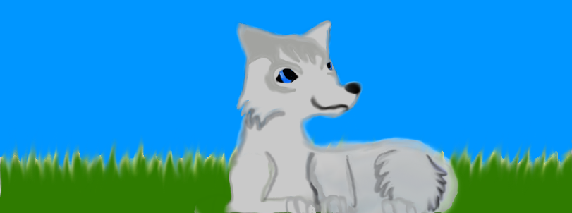 Shira-wolf by keilia-wolf on DeviantArt