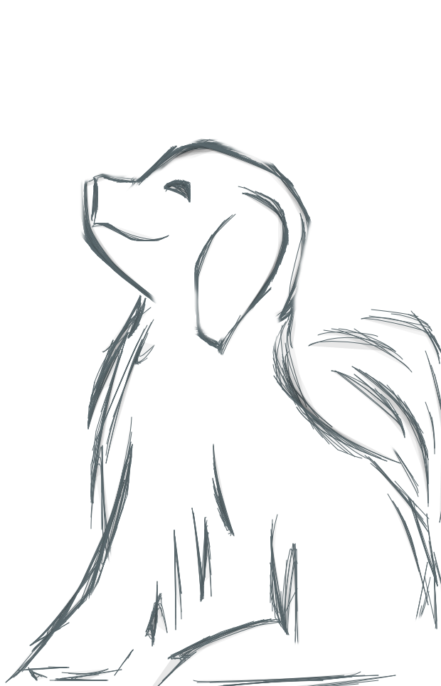 Golden Retriever Sketch by dashieundomiel on DeviantArt