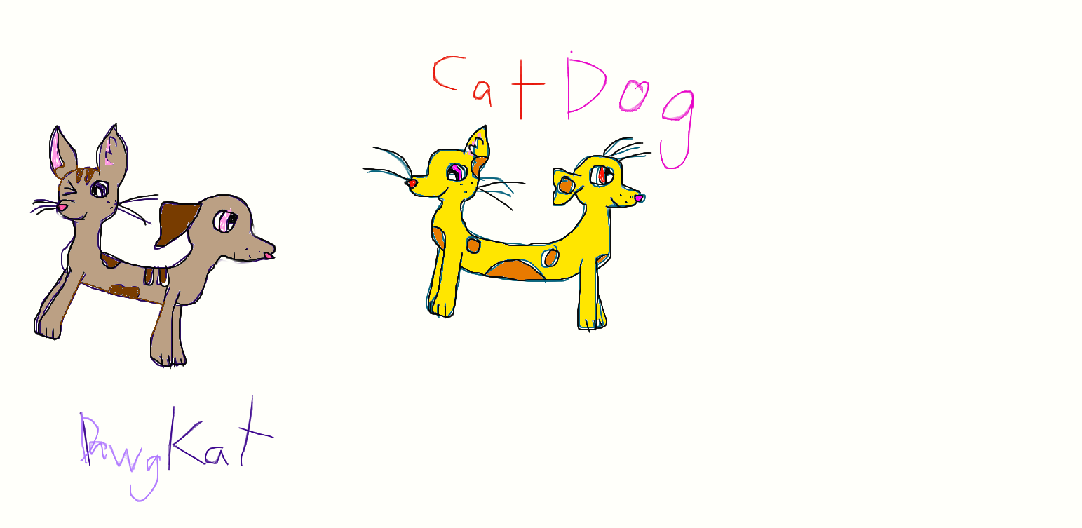 CatDog meets DawgKat (mlp) by MosoTokyo88 on DeviantArt