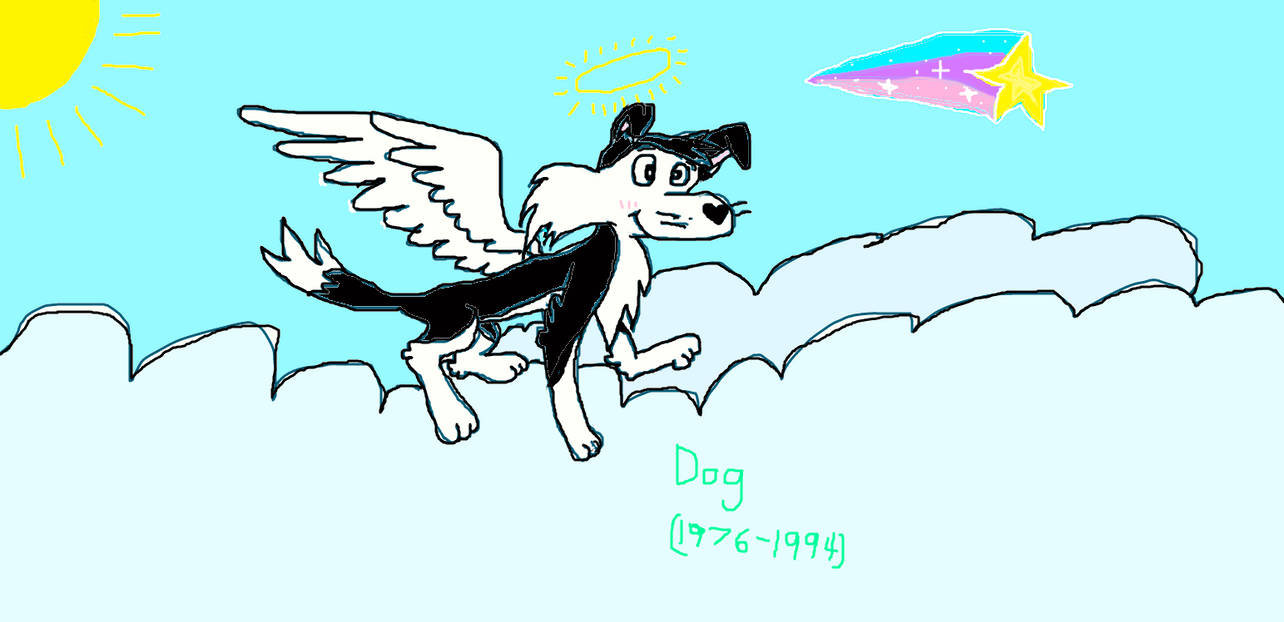 Dog In Heaven by MosoTokyo88 on DeviantArt