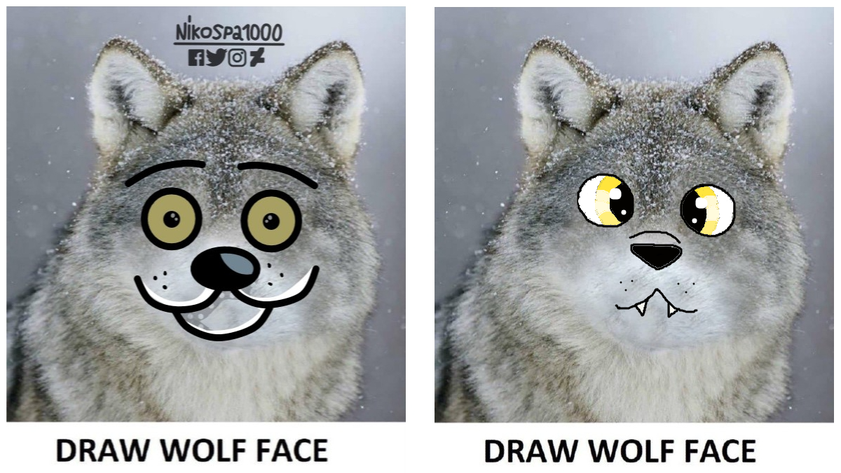 Draw A Wolf Face Meme by MosoTokyo88 on DeviantArt