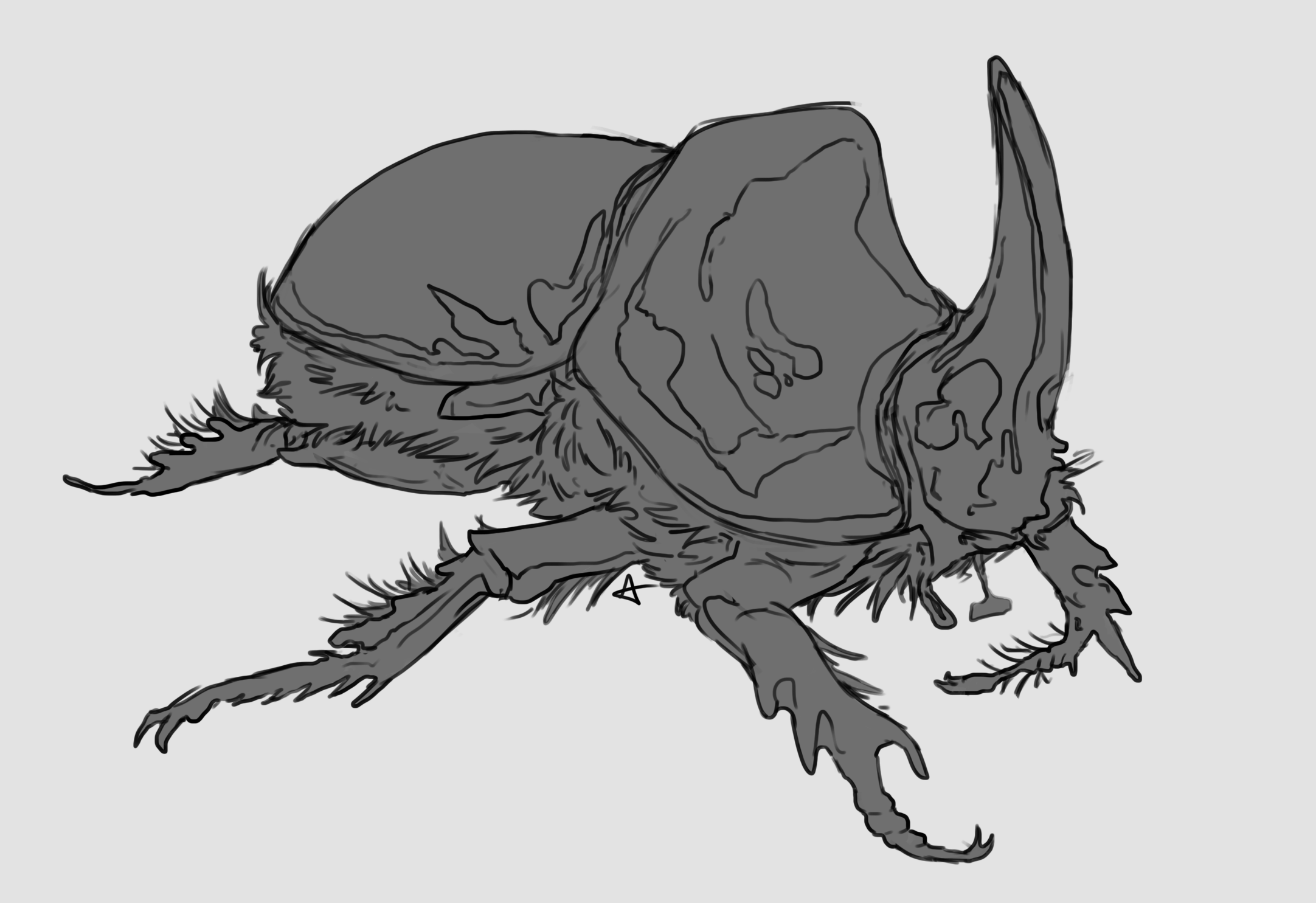 Rhino Beetle Drawing