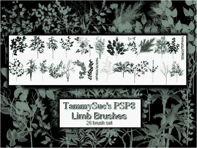 Tree Limb Brushes PSP8 by TammySue on DeviantArt