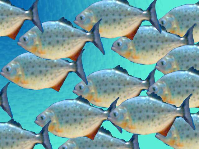 Pirahna by Genesis-- on DeviantArt