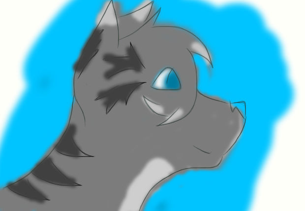 Semi-Realistic Cat by Warrior-Moon on DeviantArt