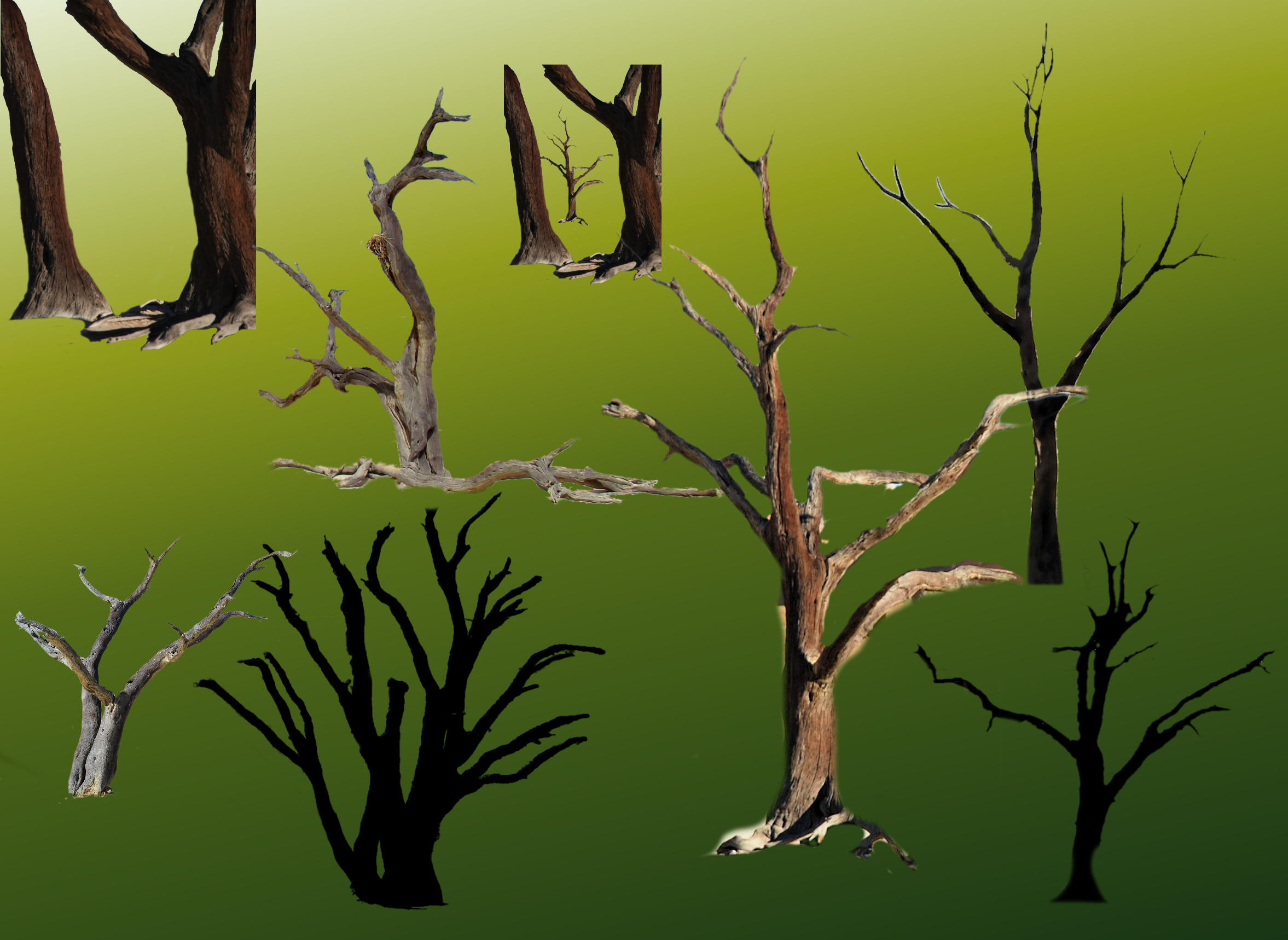 trees Png by bykst on DeviantArt