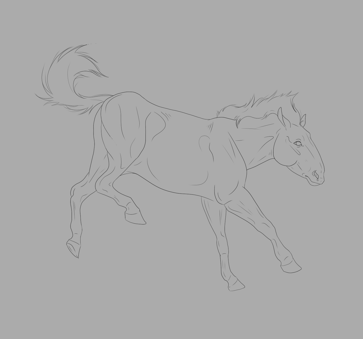 Bucking Horse Lineart - F2U by sierra2024 on DeviantArt