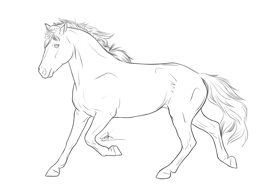 Pony by chronically on DeviantArt