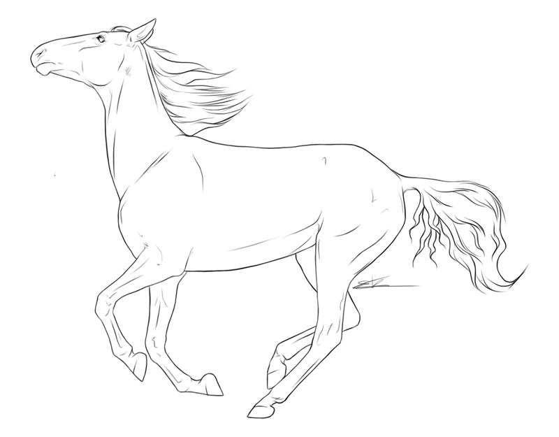 Running Horse pt VII by chronically on DeviantArt