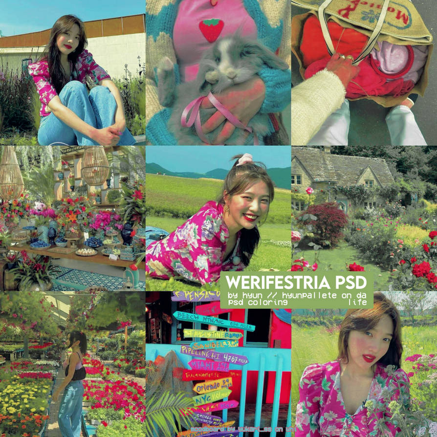 Werifesteria Psd By Hyunpallete by hyunpallete on DeviantArt