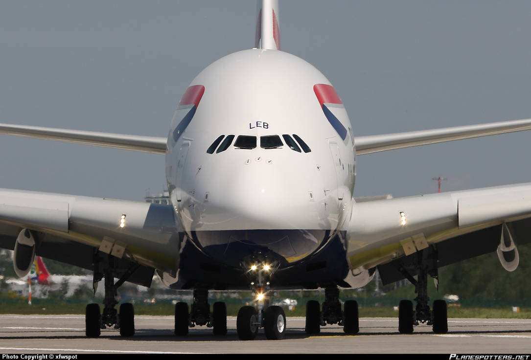 The Little A380 - Flower and a Vase by TeenDollie380 on DeviantArt