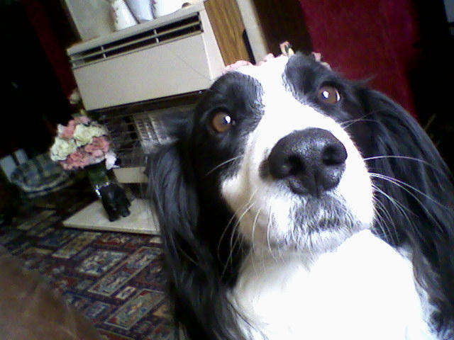 meg by kse88 on DeviantArt