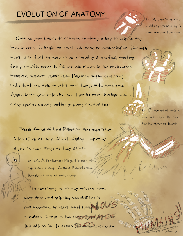 Exploring 101: Evolution of Anatomy by Wooled on DeviantArt