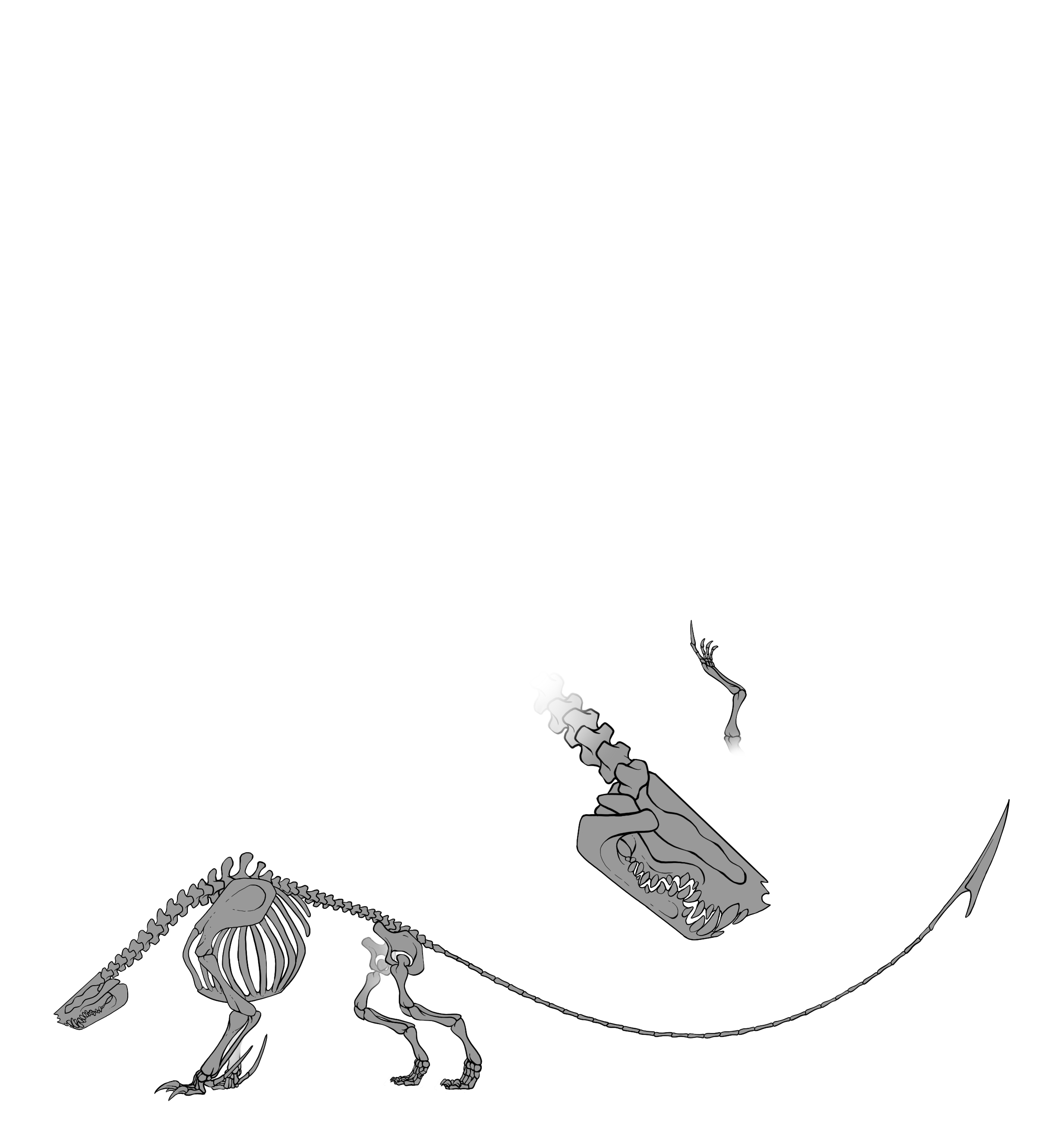Regular Skeleton by DrSpooks on DeviantArt