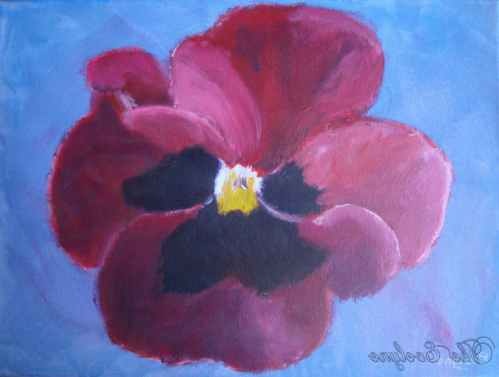 Pansy by TheEvelyne on DeviantArt