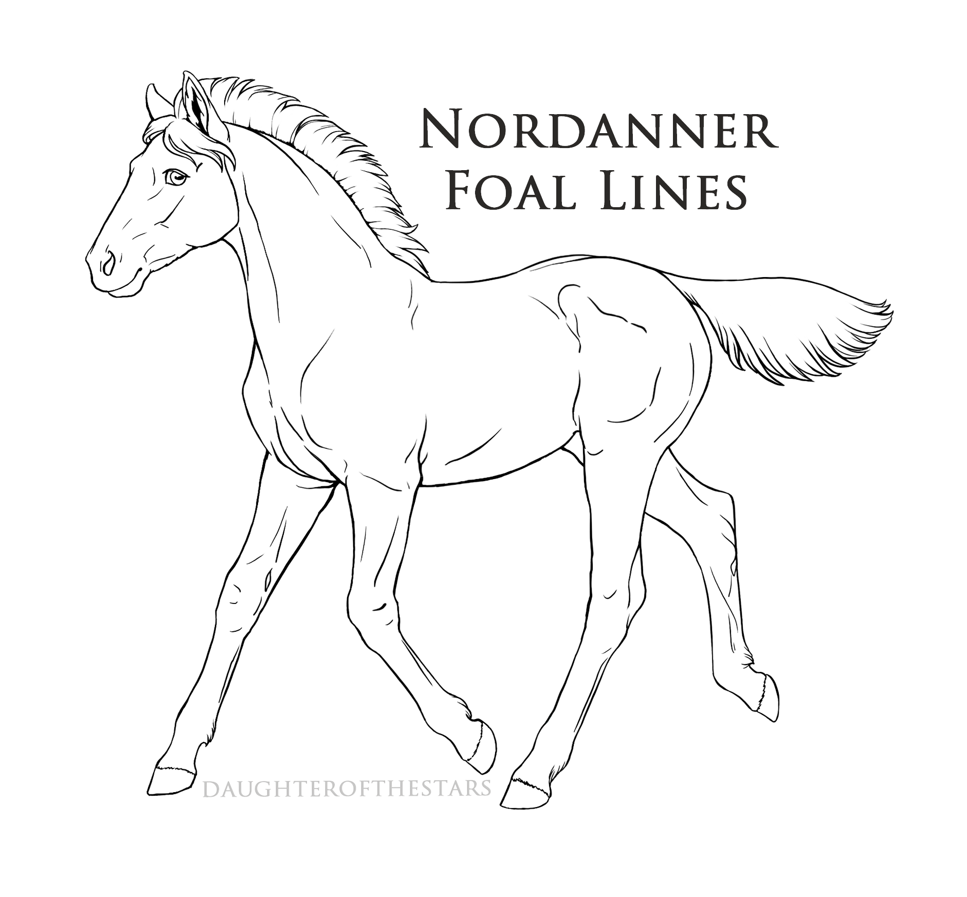 Official Nordanner Foal Lineart by Cloudrunner64 on DeviantArt