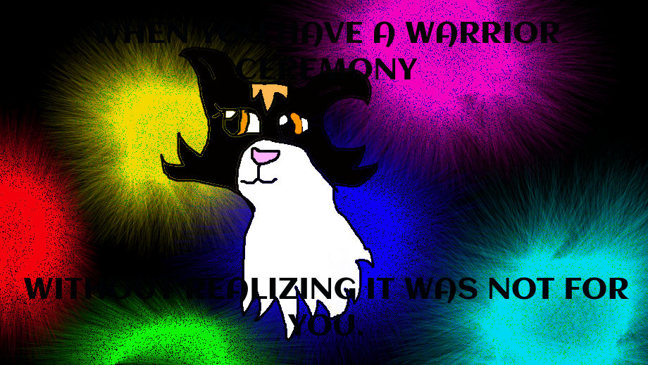Warrior MEME by QUEENSHADY on DeviantArt