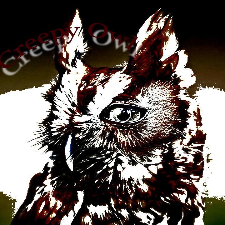 Creepy Owl by ronskater1 on DeviantArt