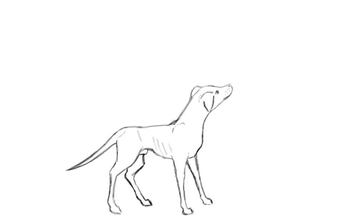 Homeless Dog by HappyFluffer on DeviantArt