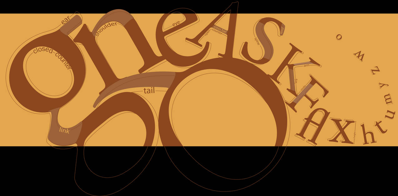 Letterforms Anatomy by ddrice1992 on DeviantArt
