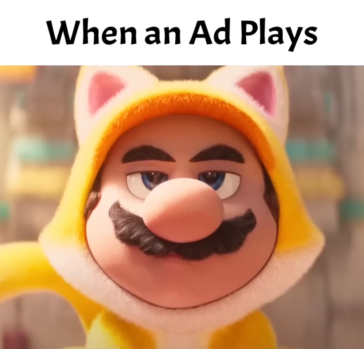 Cat Mario Meme by Meatball10507 on DeviantArt