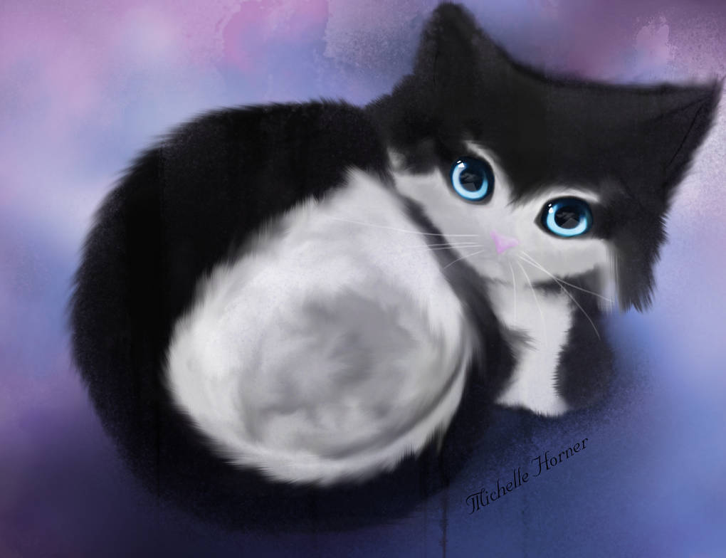 Luna the Kitten by MoonPremier on DeviantArt
