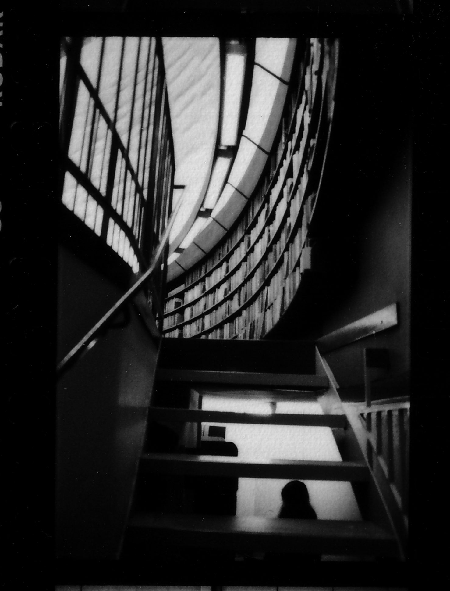 trappa by Kattew on DeviantArt