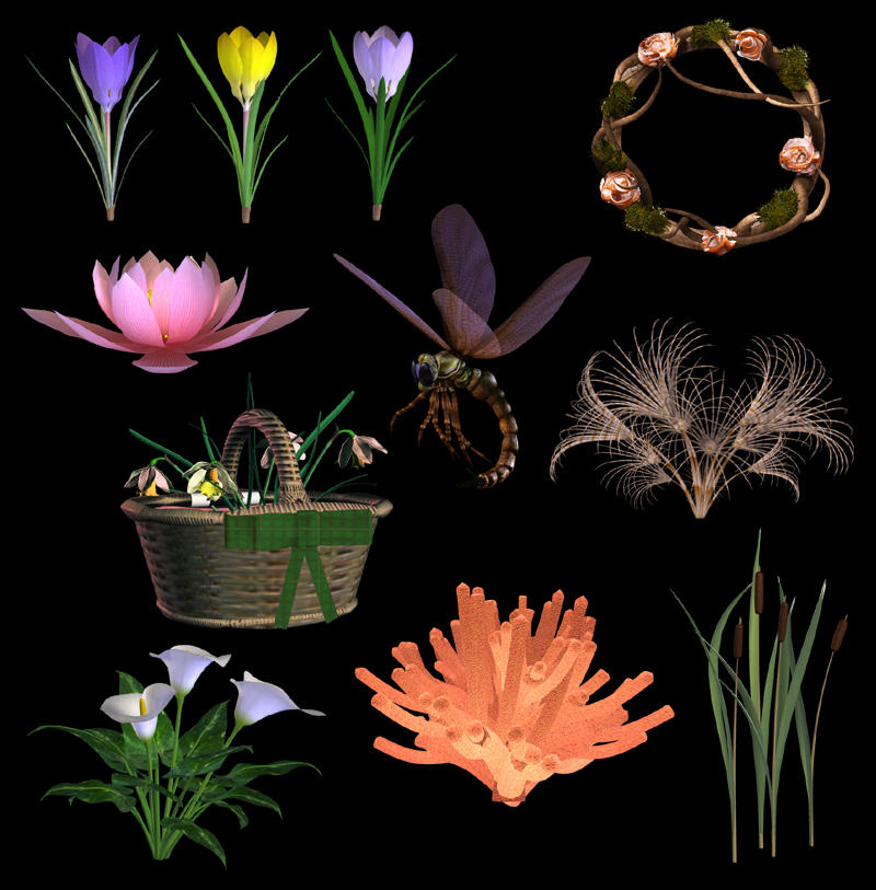 Spring PNG Stock by DemoncherryStock on DeviantArt