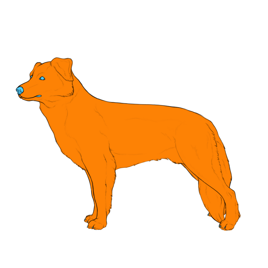 F2U Border Collie Lineart by StormysPack on DeviantArt