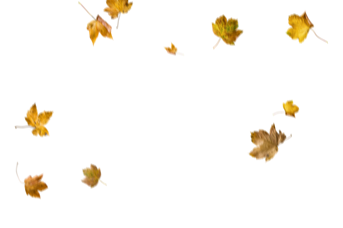 Fall - Autumn by DPinningtonPhotog on DeviantArt