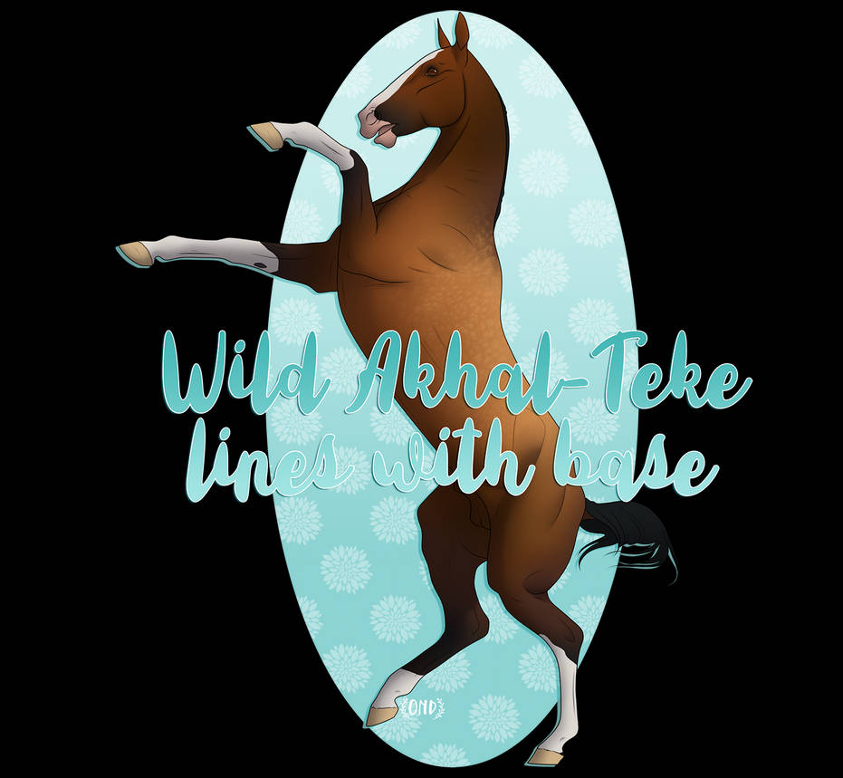 [P2U] Wild Akhal-Teke PSD by OfNaturalDesign on DeviantArt
