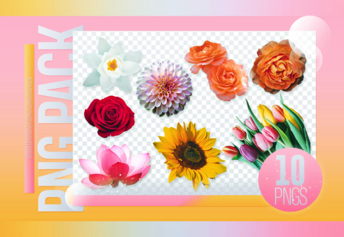 FLOWERS PNG PACK by gummyseoyeon on DeviantArt