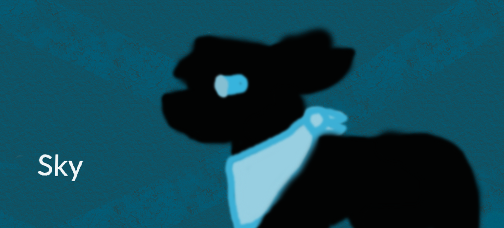 Sky the Cat. by Lokei030 on DeviantArt